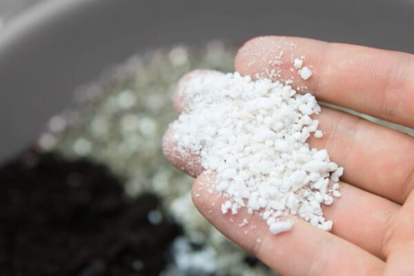 Can You Use Potting Soil in the Ground? (What You Need to Know) - The ...