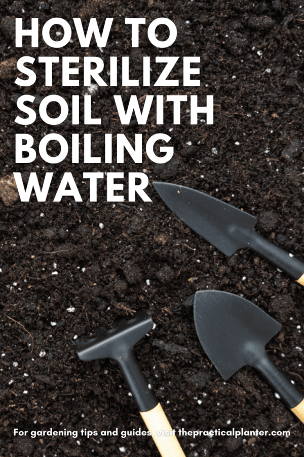 How to Sterilize Soil with Boiling Water (Plus 5 Alternative Methods to ...