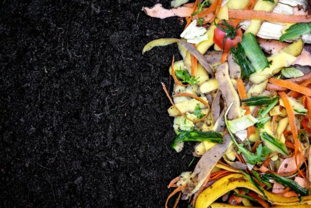 What’s the Difference Between Soil and Compost? (And When to Use Each ...
