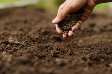 How to Break Up Soil Without Tilling - The Practical Planter