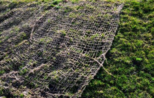 7 Smart Ways to Keep Mulch in Place on a Slope - The Practical Planter