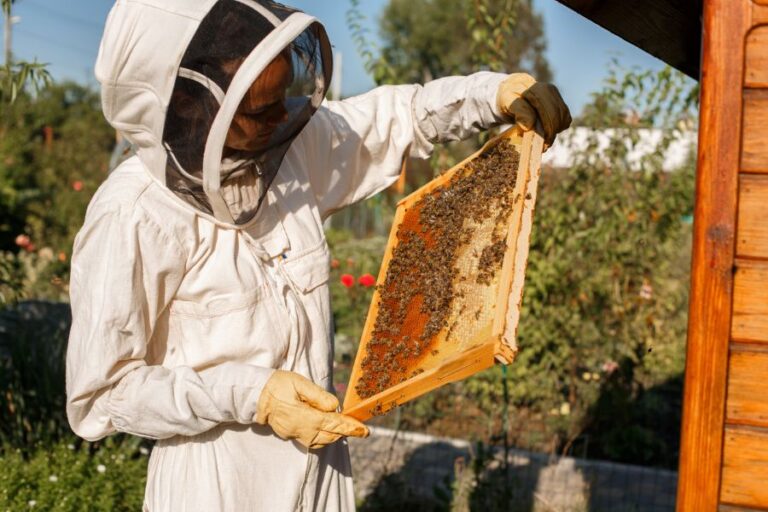 7 Smart Ways to Get Rid of Bees in a Tree - The Practical Planter