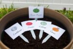 Printable Plant Marker Collection - The Practical Planter