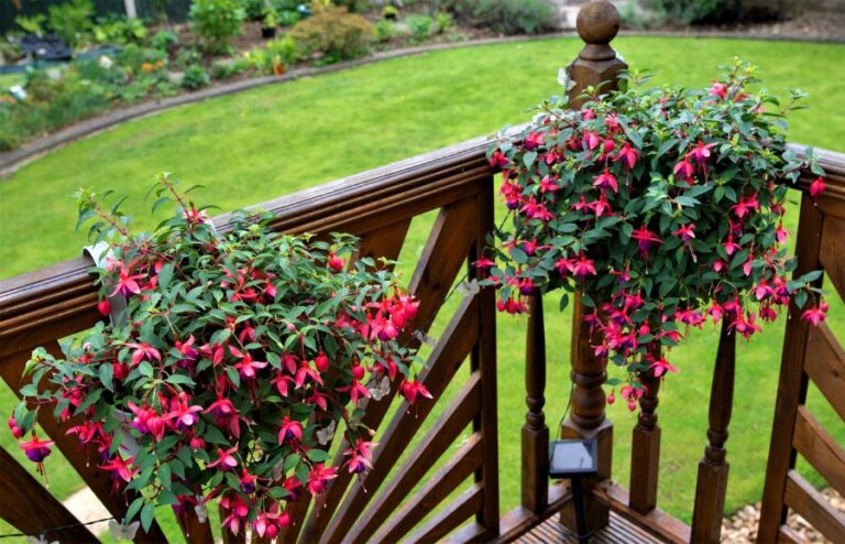 14 Beautiful Potted Plants That Attract Birds - The Practical Planter