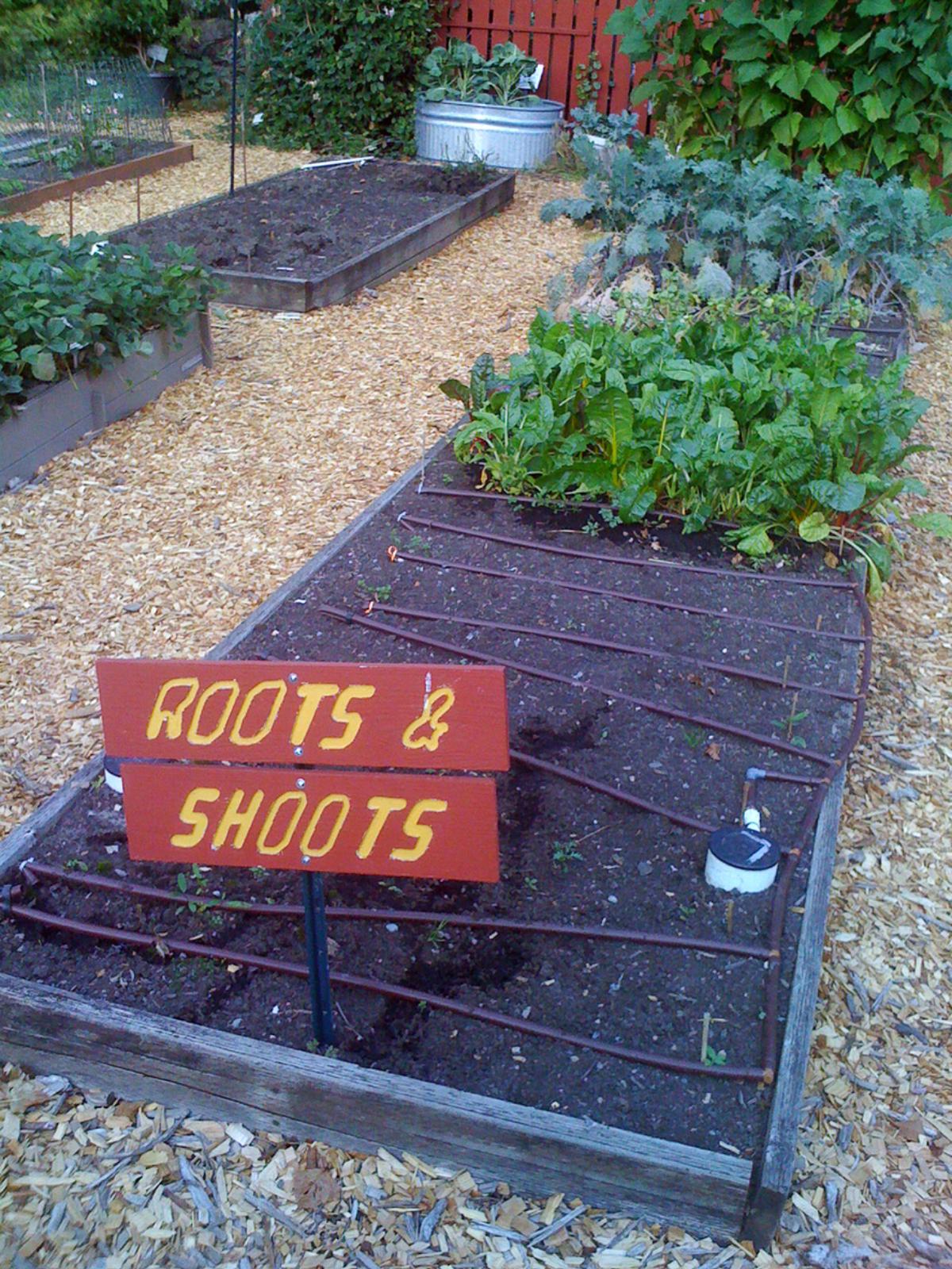 Raised Bed Renovations: Breathe New Life into Your Garden Beds - The ...
