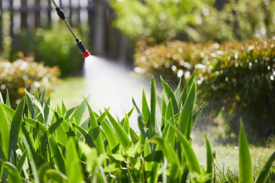 Is Your Garden a Silent Threat? The Hidden Dangers of Pesticides You ...